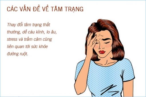 Trầm cảm có thể bắt nguồn từ đường ruột - Cerebio